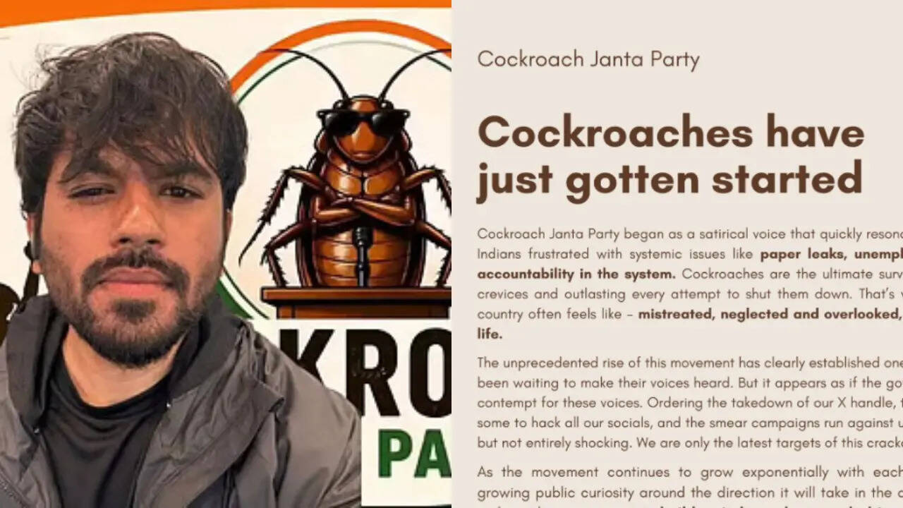 'Just gotten started': Cockroach Party charts next move as Instagram ...