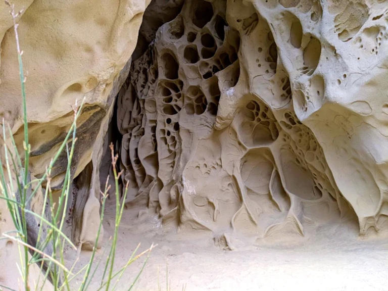 Le fessure verticali scolpite dal vento nell’arenaria: un giro nelle ...