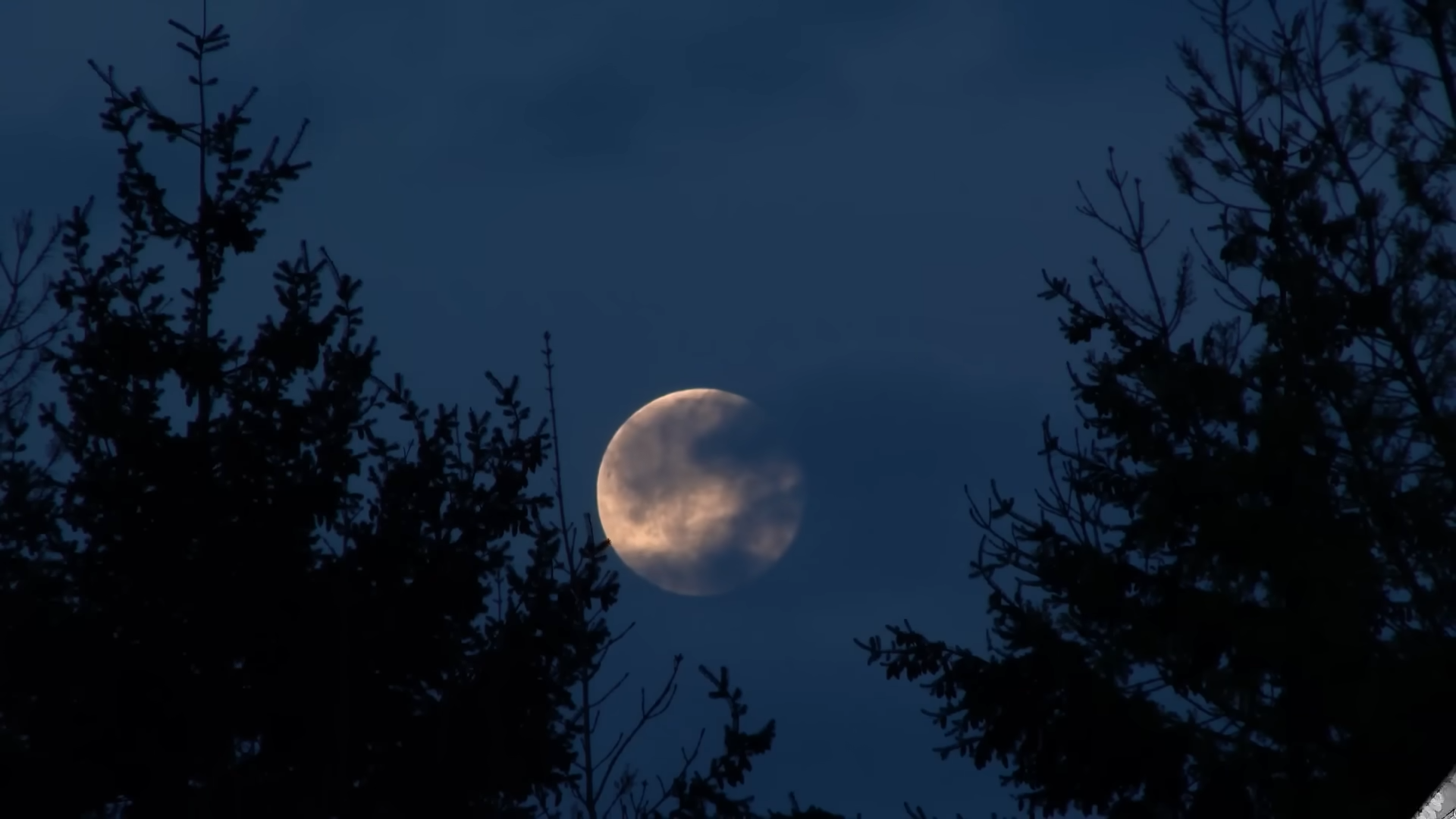 Scientists tested replacing the moon – the outcome raises big questions