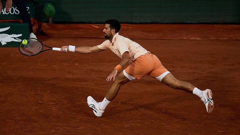 Novak Djokovic and Alexander Zverev through to third round of French Open