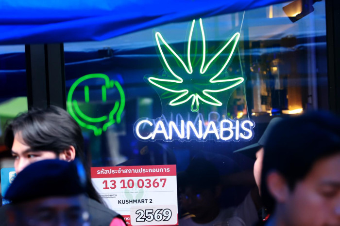 Cannabis market barely dented by new rules