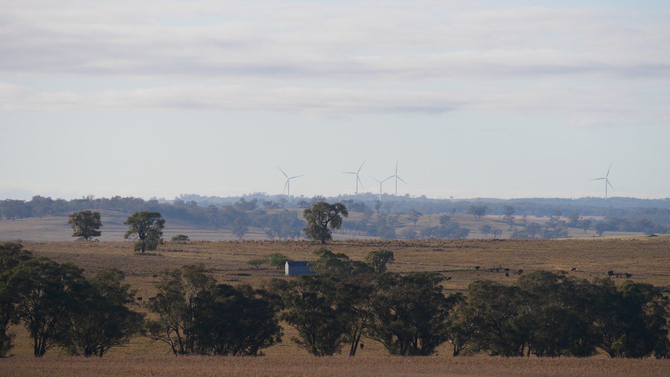 Renewables company ACEREZ destroys Indigenous rock shelter