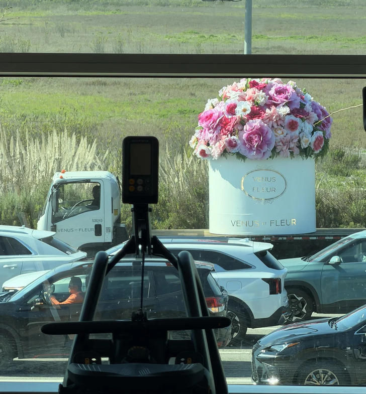 14 real delivery moments that quietly prove kindness and laughter still ...