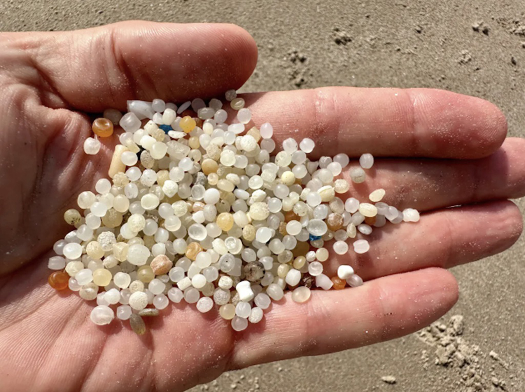 Plastic pellets are small in size, but a much bigger headache for the ...