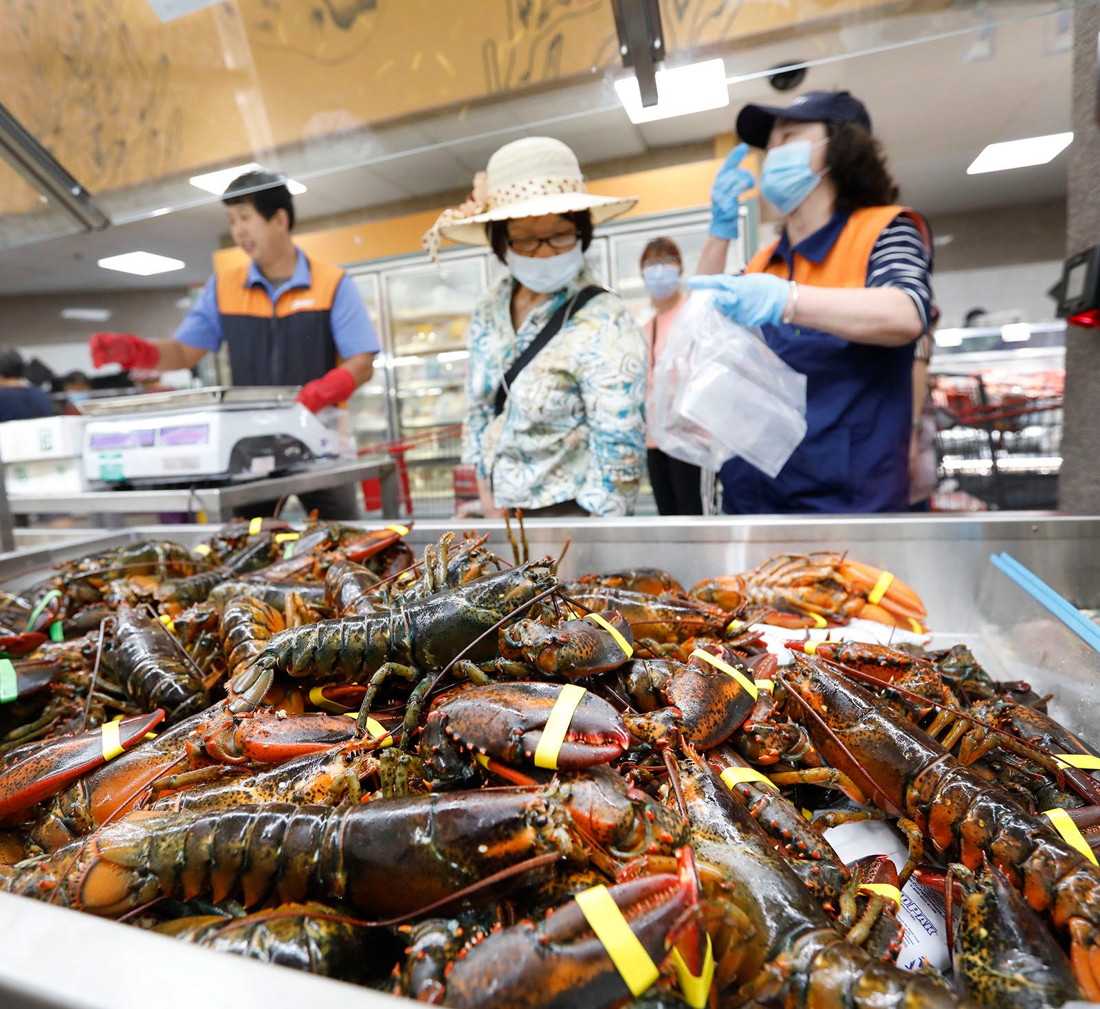 Grocery shopping poll: Who has the best seafood section in SW Florida?
