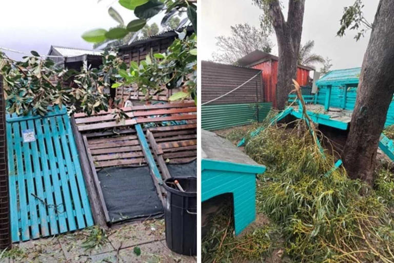 TEARS issues plea for help after Cape Town storms