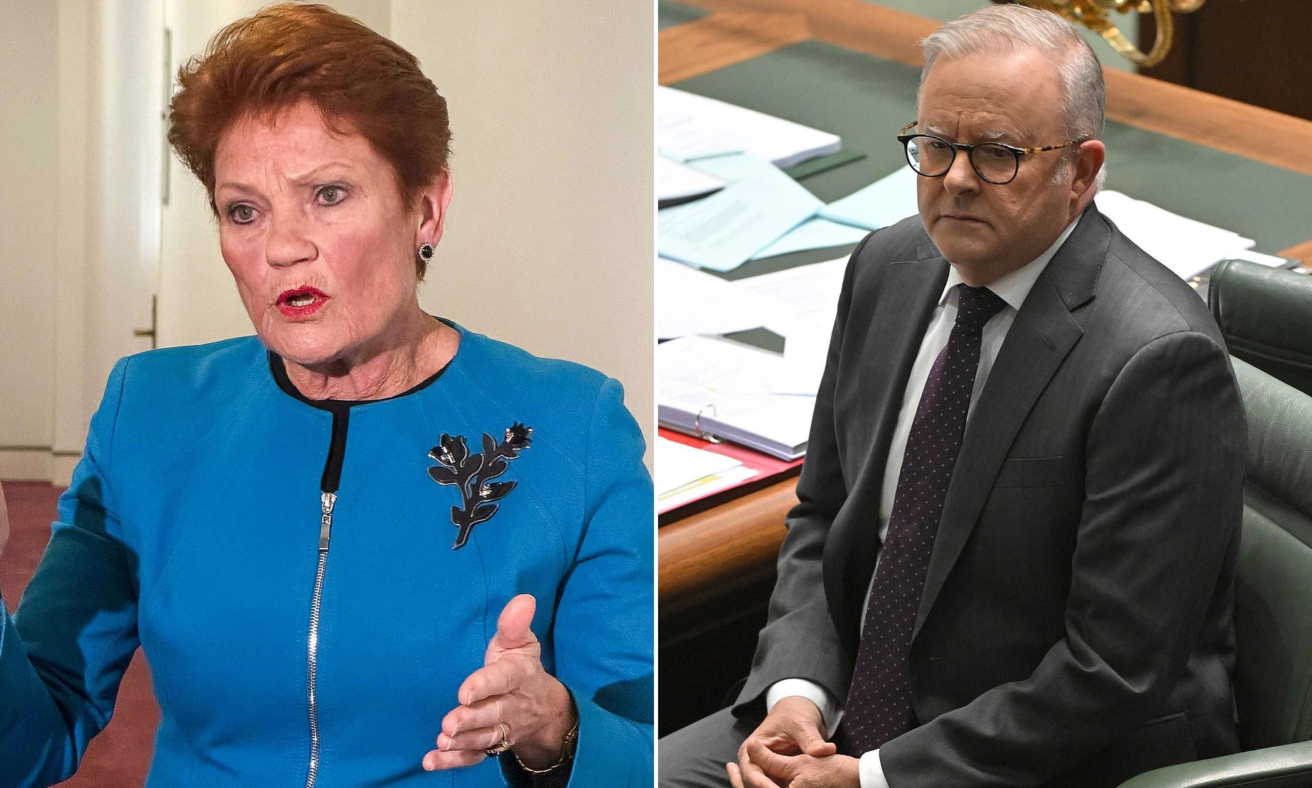 Poll breakthrough as One Nation tops Labor and takes the lead after budget