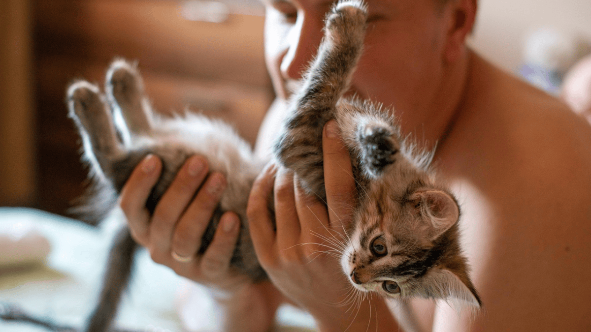 8 reasons your cat touches your face with its paw, according to experts