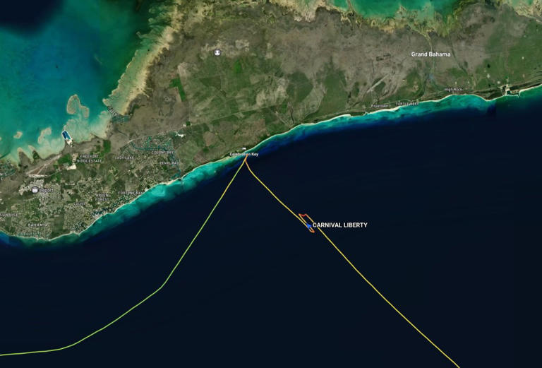 Carnival Cruise passenger dies after leaping overboard in Caribbean ...