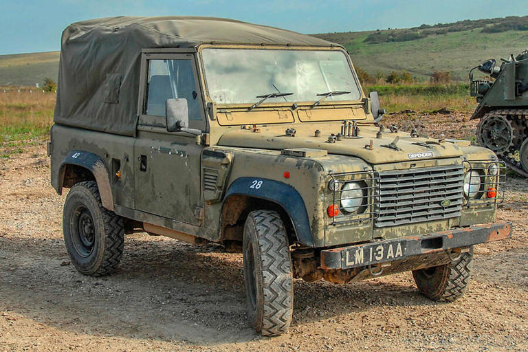 The A-Z of cars named after animals: Ant to zebra via... Golf?