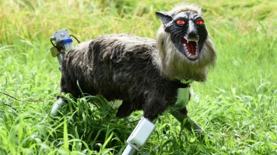 In Giappone arriva il lupo robot anti-orso: ulula, lampeggia e ...