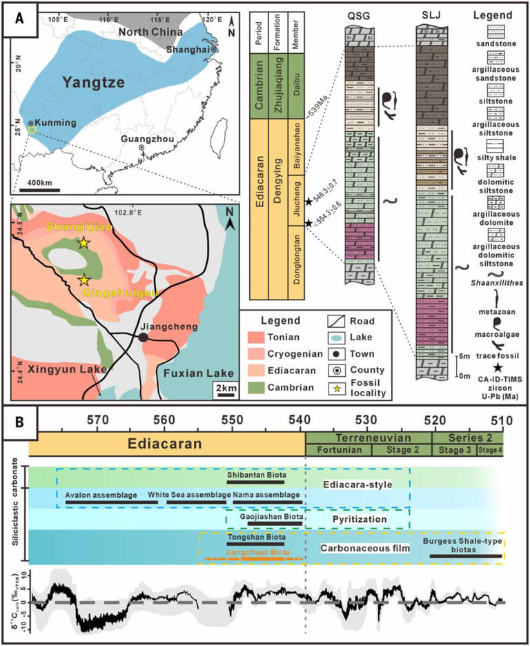 Deep inside ancient rock, scientists uncovered bizarre fossil marine ...