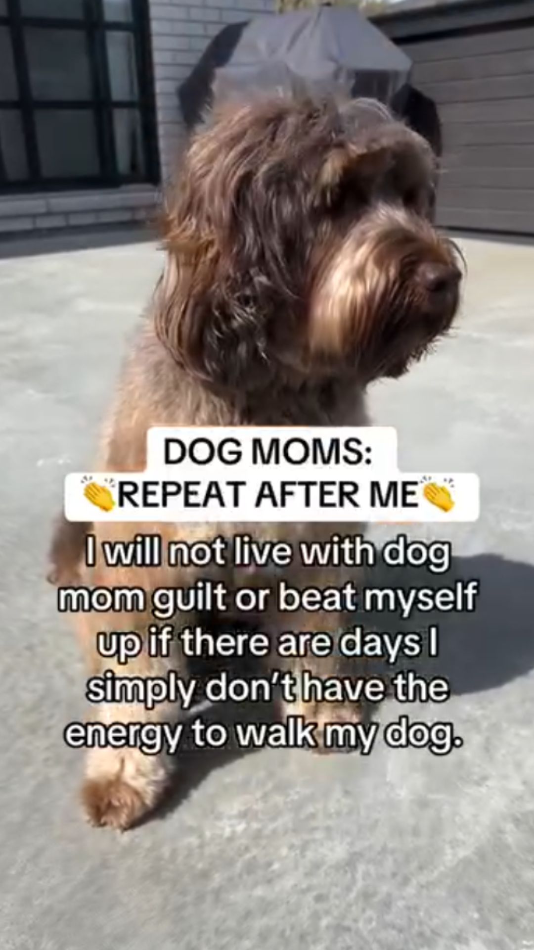 Dog moms, it's okay to take a break from walking your dog