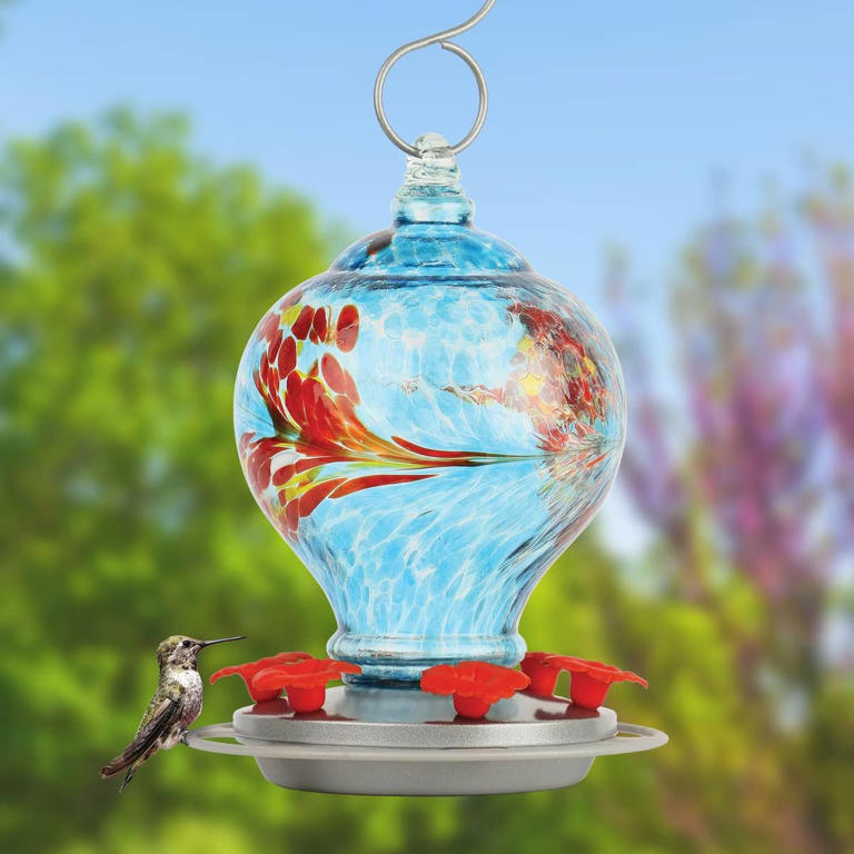Discover Chewy's $24 hand-blown glass hummingbird feeders that attract ...