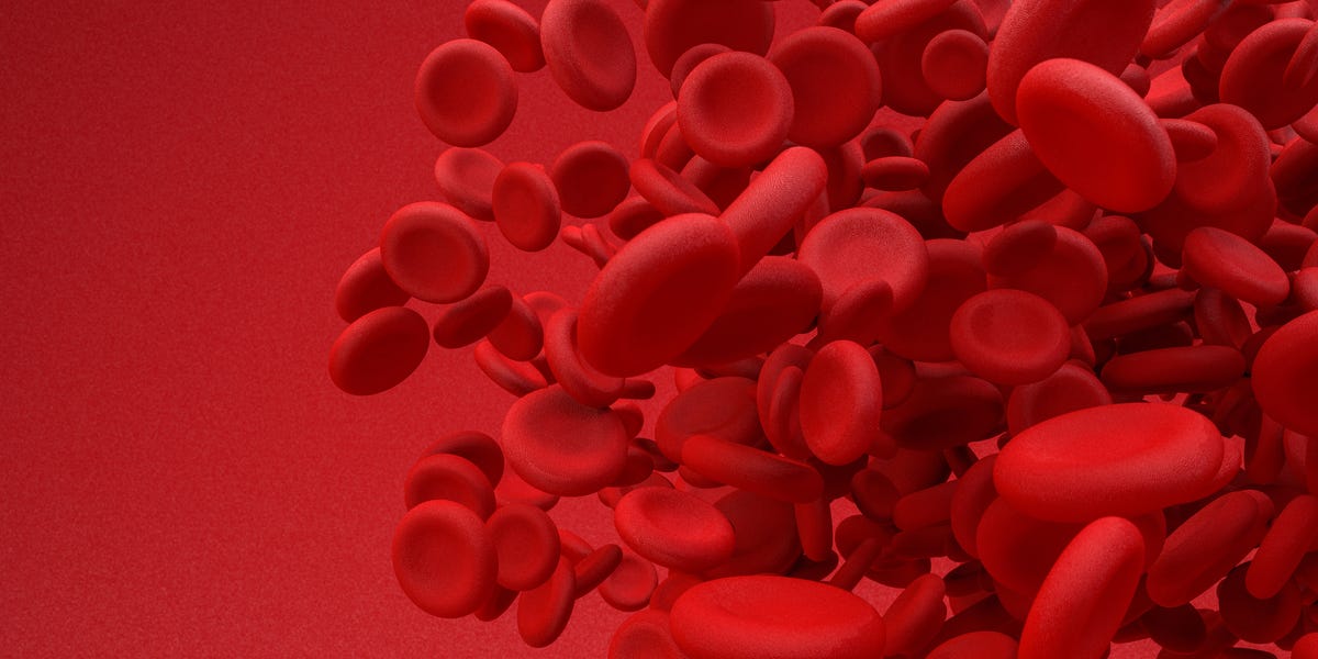 Scientists found a way to make old blood young again