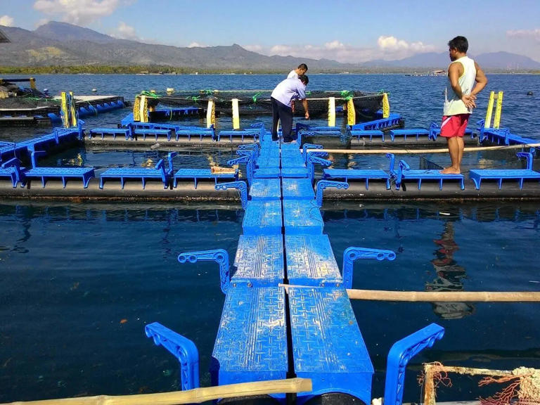 India figures in EU's draft list for continued export of aquaculture ...