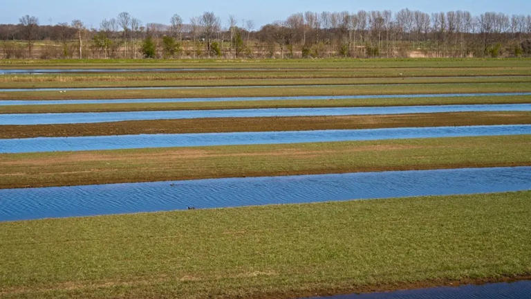 The last harvest: Why private equity is buying farmland based on one ...