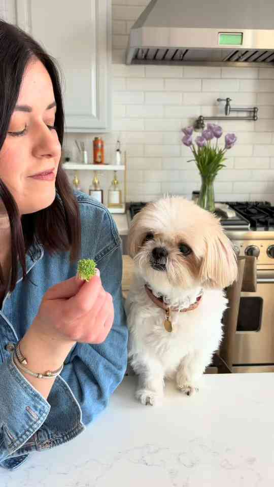 Will Stella like broccoli? Watch this dog try it for the first time