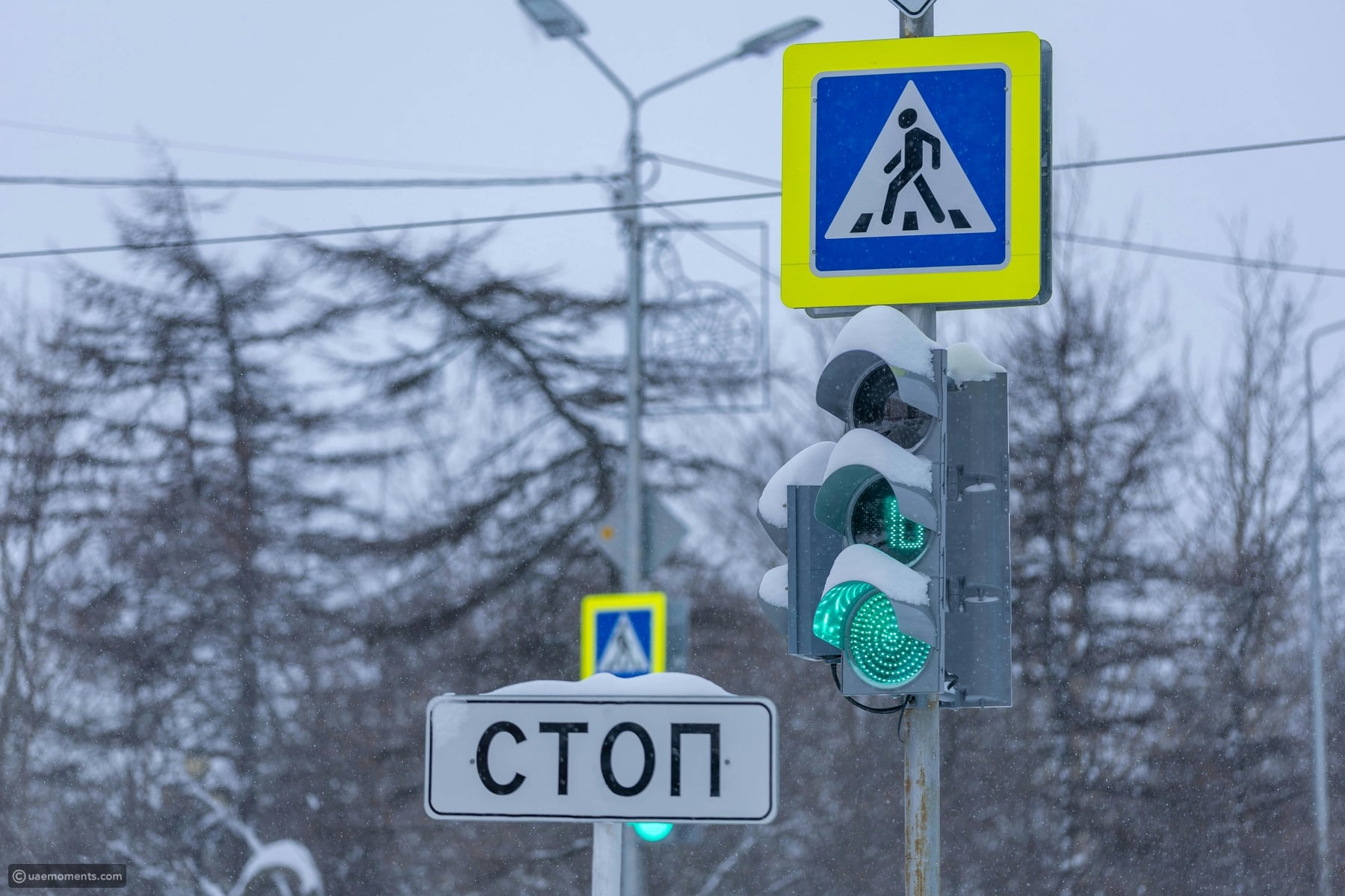 Ever wondered why traffic lights have white squares on top? Here’s the ...