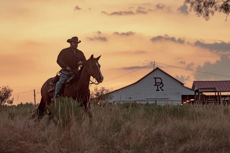 'Yellowstone's Cole Hauser, Kelly Reilly hit Texas heat, 275 snakes in ...