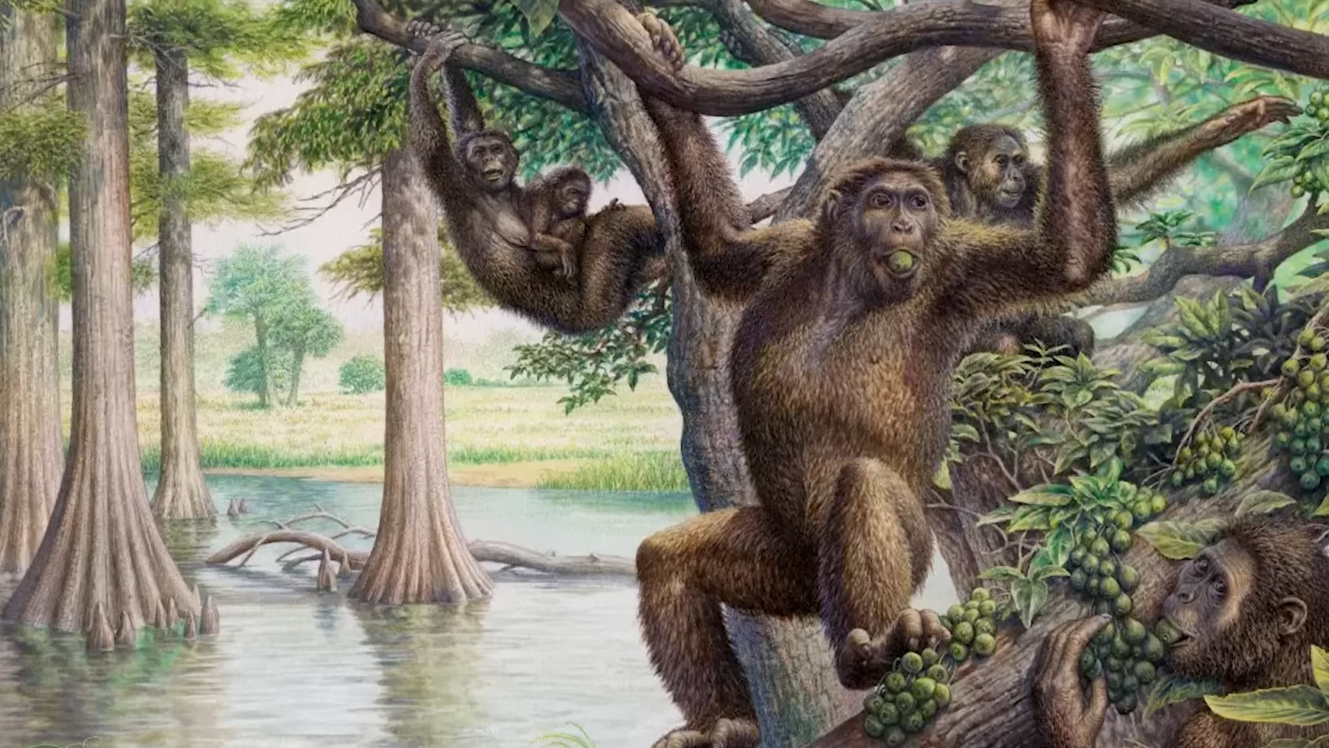 The world after dinosaurs - how mammals took over Earth