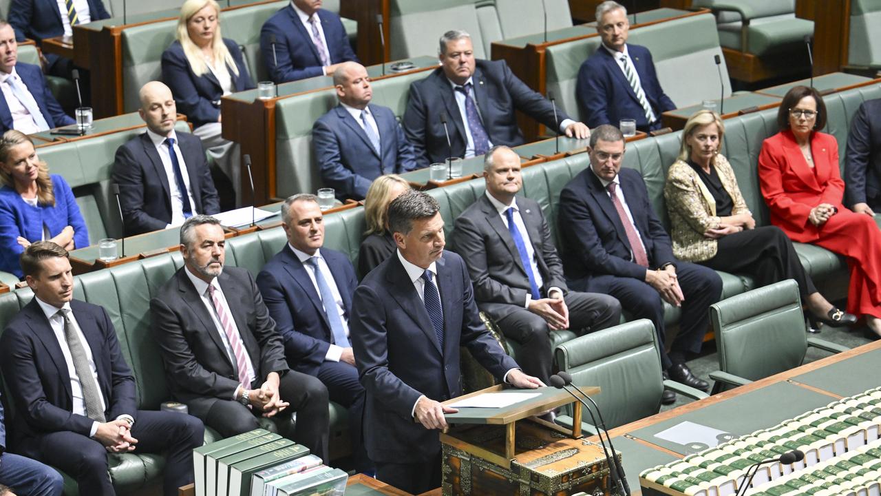 Pauline Hanson cut off in Senate responding to budget