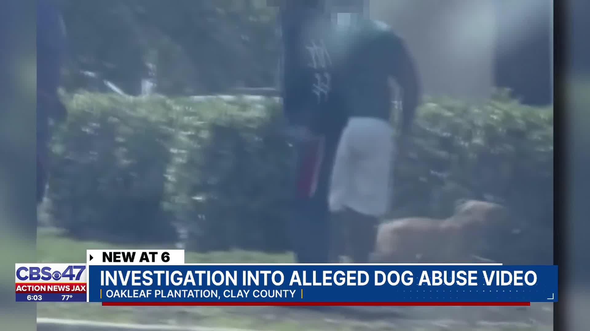 Video of man hitting dog out of Clay County goes viral, sparks outrage
