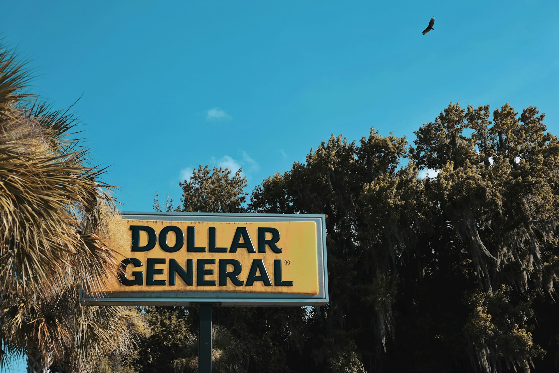 18 useful Dollar General household buys for May under $10