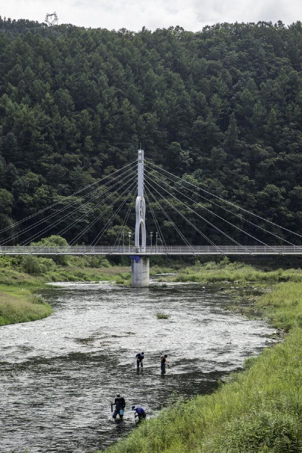 Cycling the Bukhangang bike path: A scenic ride through Korea’s railway ...
