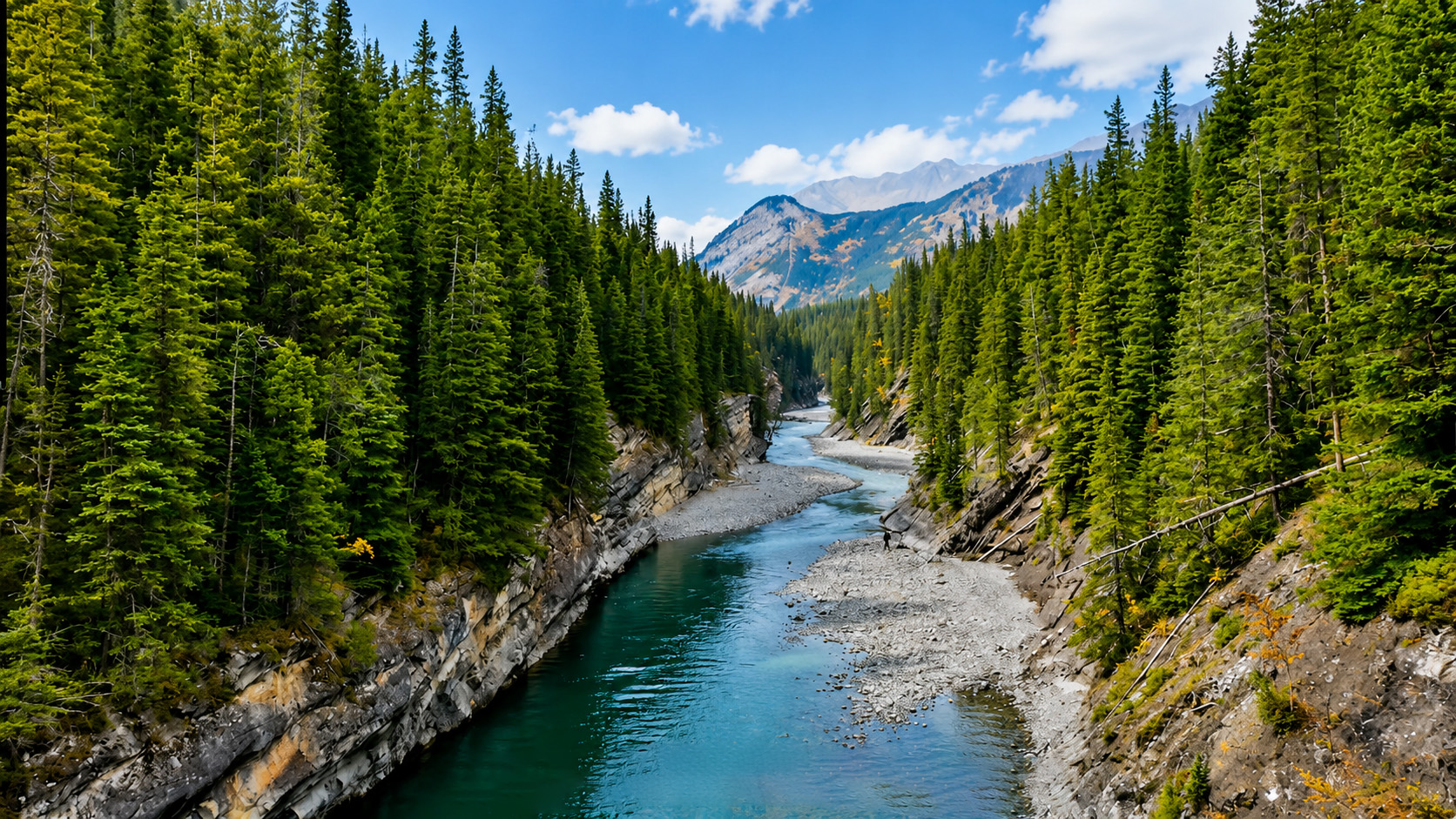 Stewart Canyon’s rocky gorge hidden deep in Banff’s forest