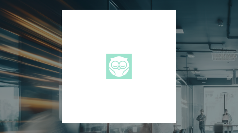 Owlet Q1 earnings call highlights