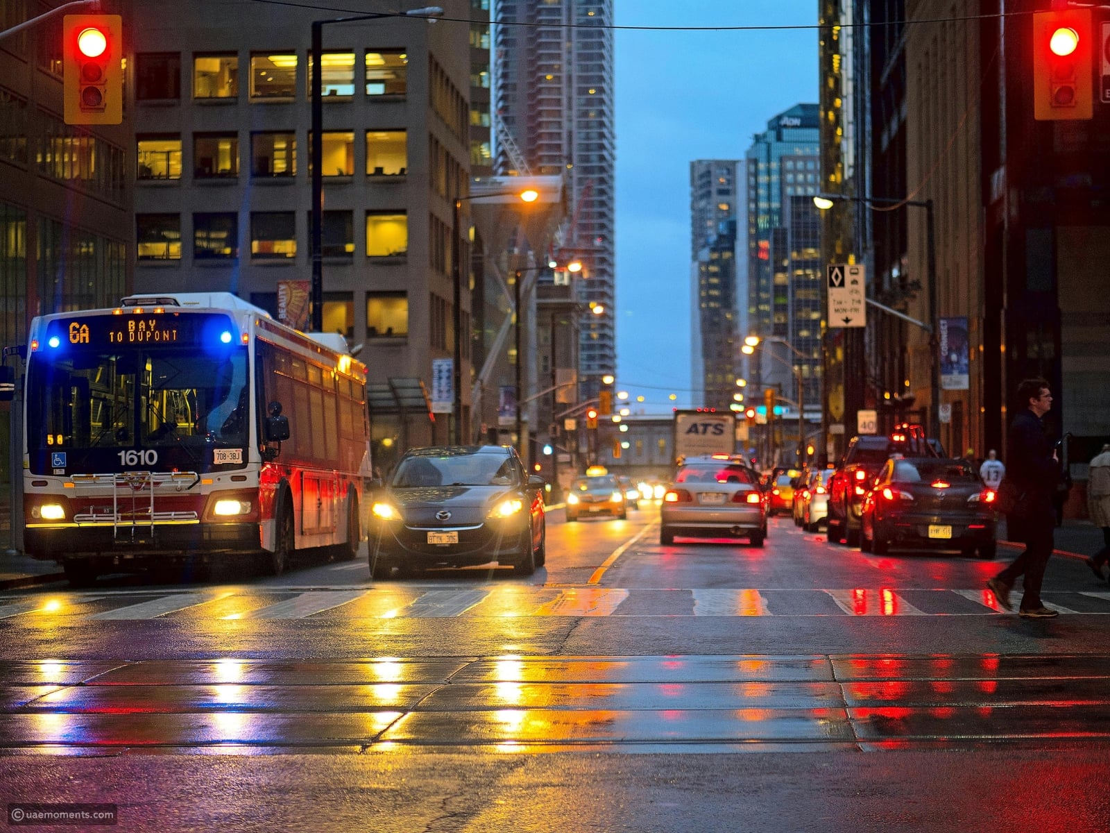 Ever wondered why traffic lights have white squares on top? Here’s the ...