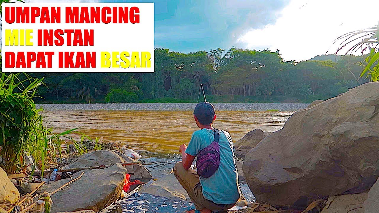 Mancing pakai mie instan dapat ikan nila besar