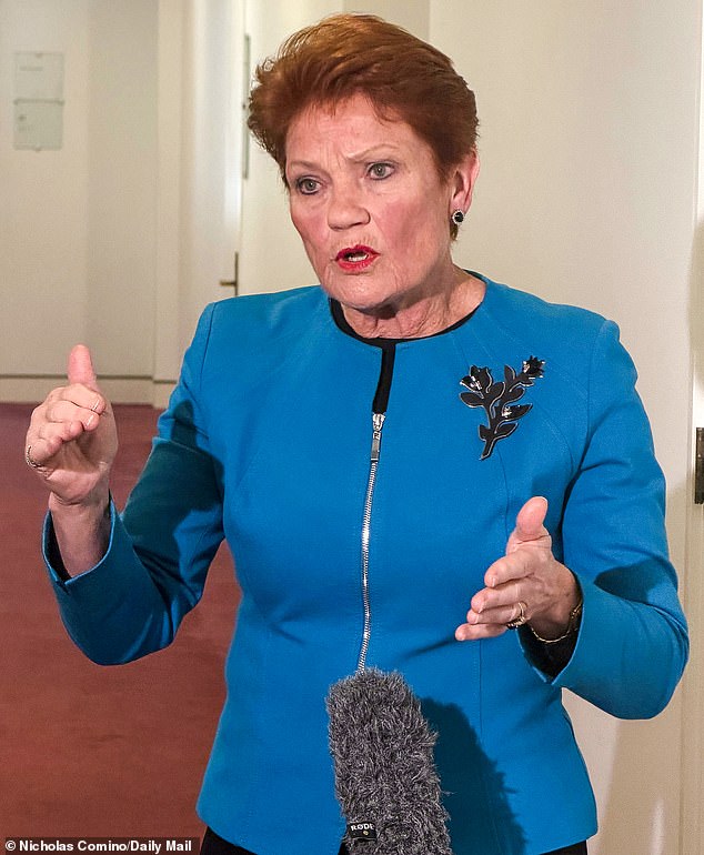 Poll breakthrough as One Nation tops Labor and takes the lead after budget