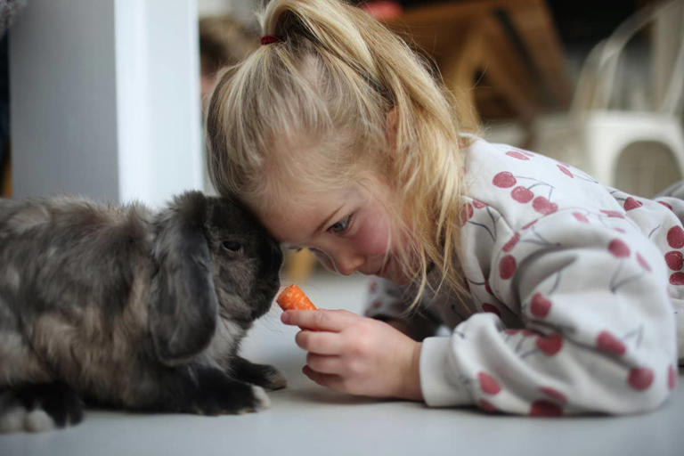 7 best pet rabbit breeds for beginners, according to a vet