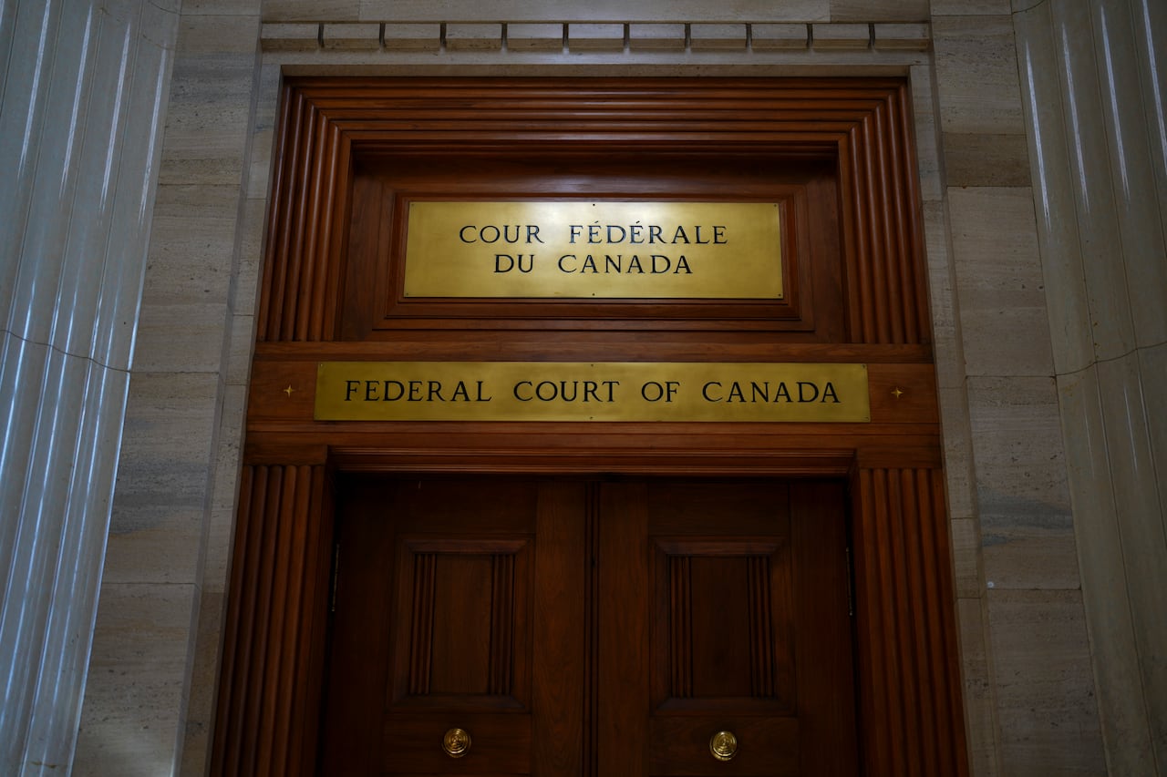Federal Court grants request to group constitutional challenges against ...