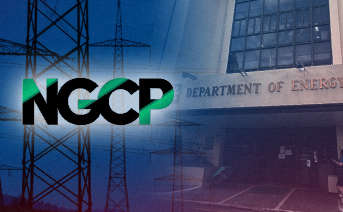 Group slams gov’t over looming brownouts, power woes