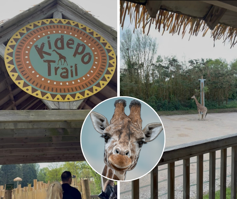 'My heart was stolen' perfect day out at Blackpool Zoo