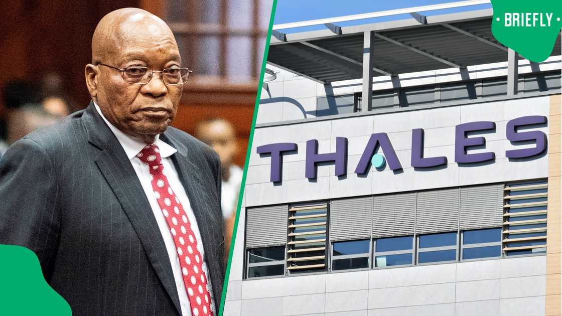 High Court orders Zuma and Thales arms deal case to proceed even if ...
