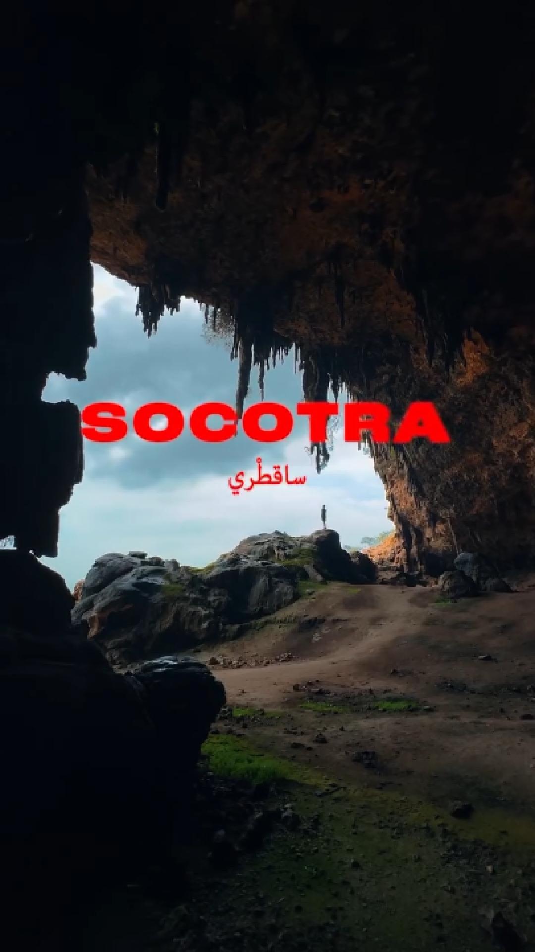 Welcome to Socotra
