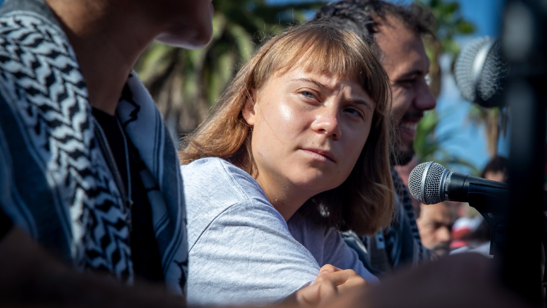 Greta Thunberg and her 'idiot friends' demand universities cut ties ...