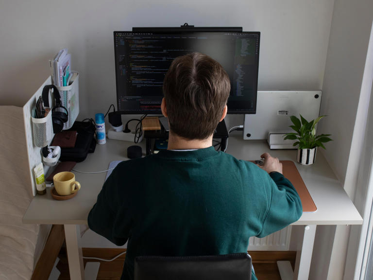 America's productivity boom may have an unlikely hero: working from home