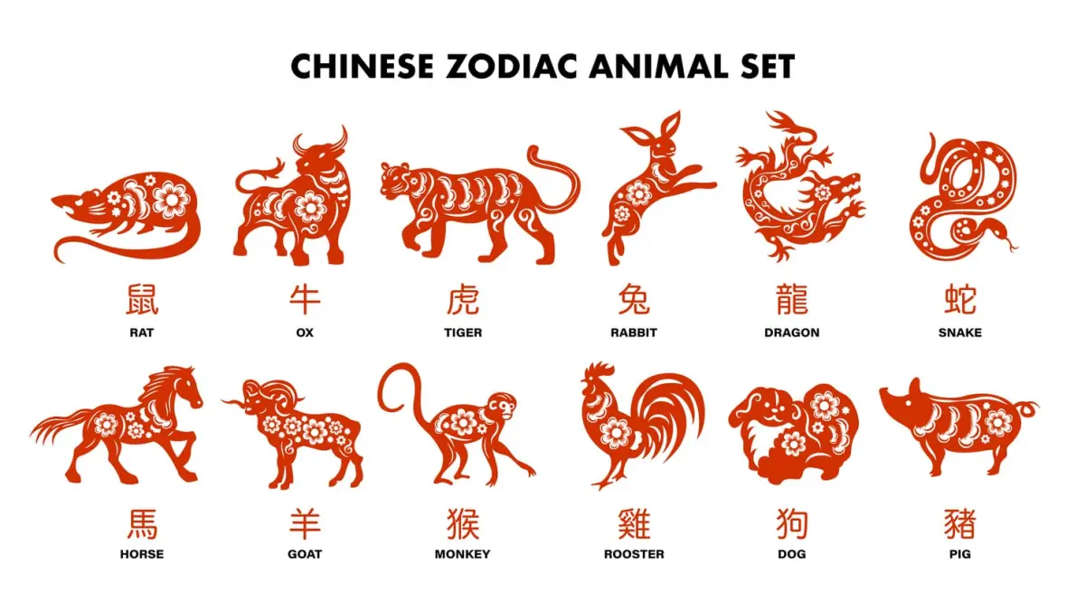 Ramalan shio naga, ular, kuda, kambing Jumat 15 Mei 2026