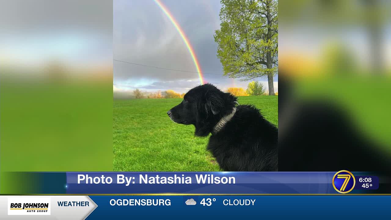Pics of the week
