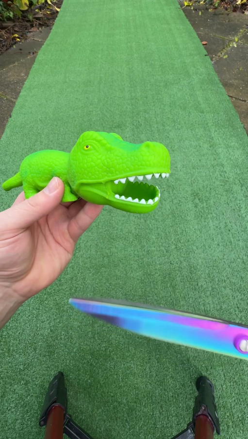 Dino flooded my garden