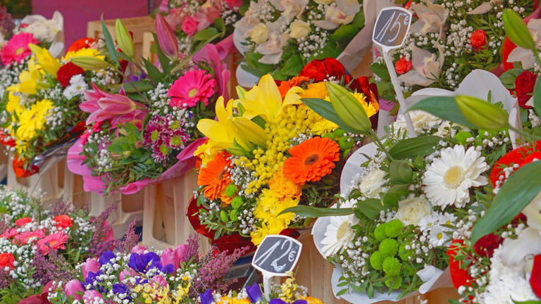Fête des mères 2026 : n'offrez jamais ces fleurs à votre maman, leur ...