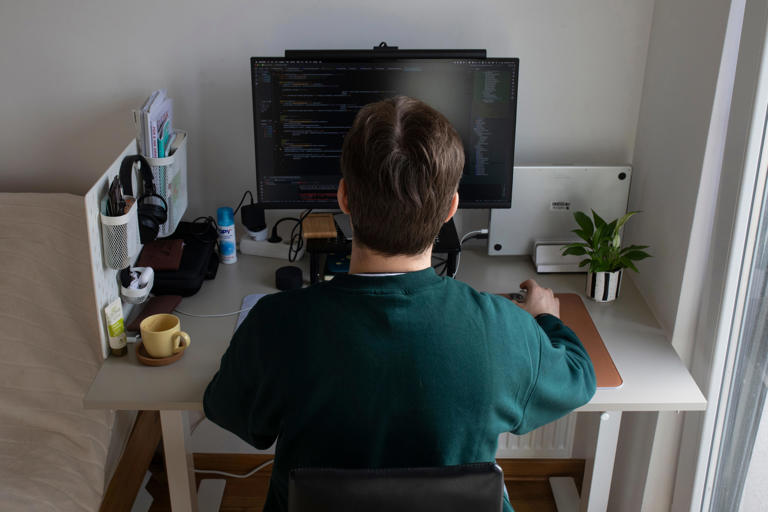 America's productivity boom may have an unlikely hero: working from home