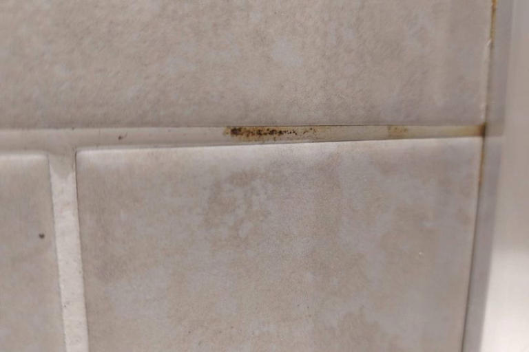 Best product to remove grout mould - HG, Astonish and Mould Magic tested