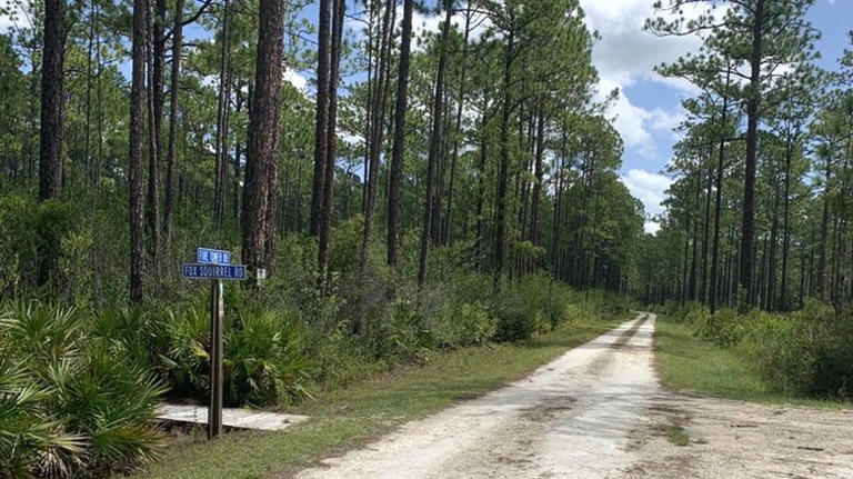 Just outside Jacksonville is a Florida state forest with RV camping ...