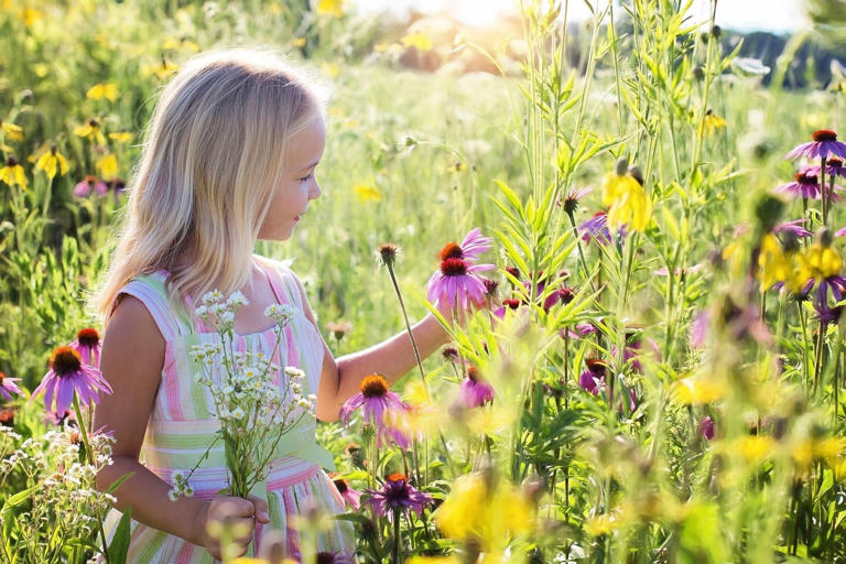 Schluss mit Neukauf: Diese Pflanze trägt jedes Jahr wieder neue Blüten